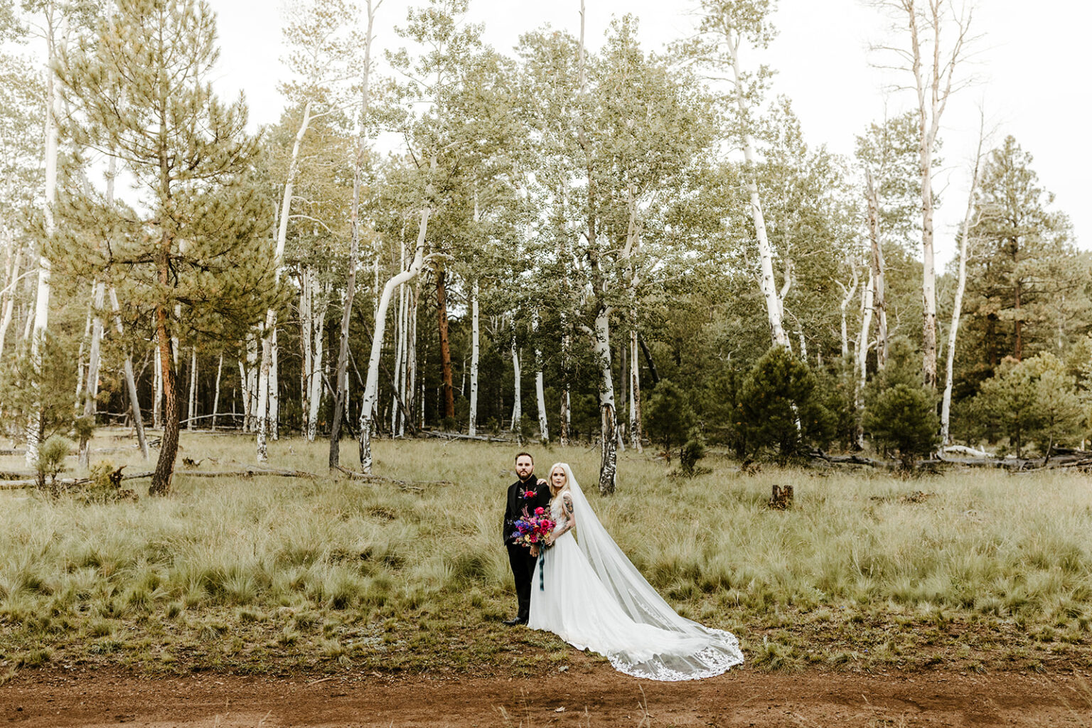 The 6 Best Arizona Forest Wedding Venues - Kali M Photos